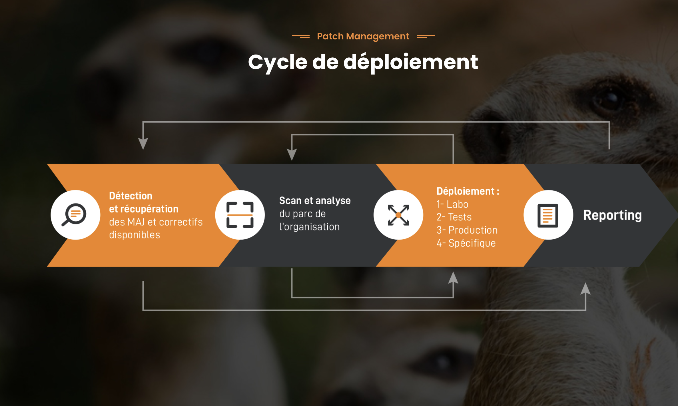 Le Patch Management : un incontournable de la cybersécurité
