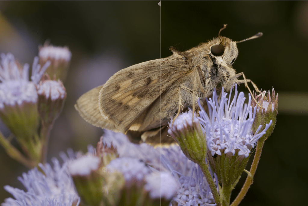 darktable 5.4 : l'alternative gratuite à Lightroom franchit un cap en 2026